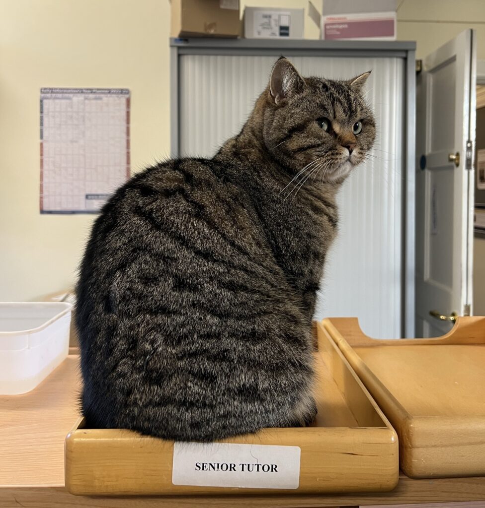 Quick Contact - The Academic Office - St Hugh's College