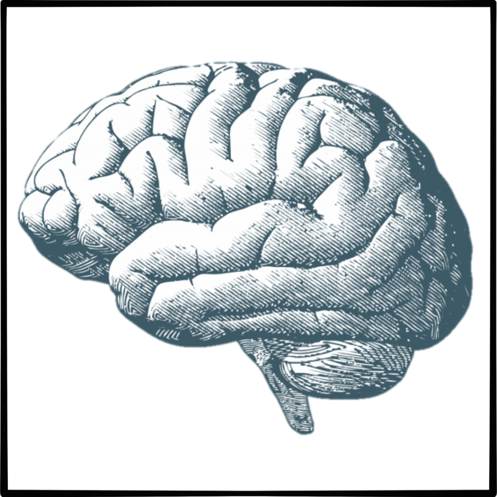 St Hugh's Fellow uses new analytical approach for study into brain ...