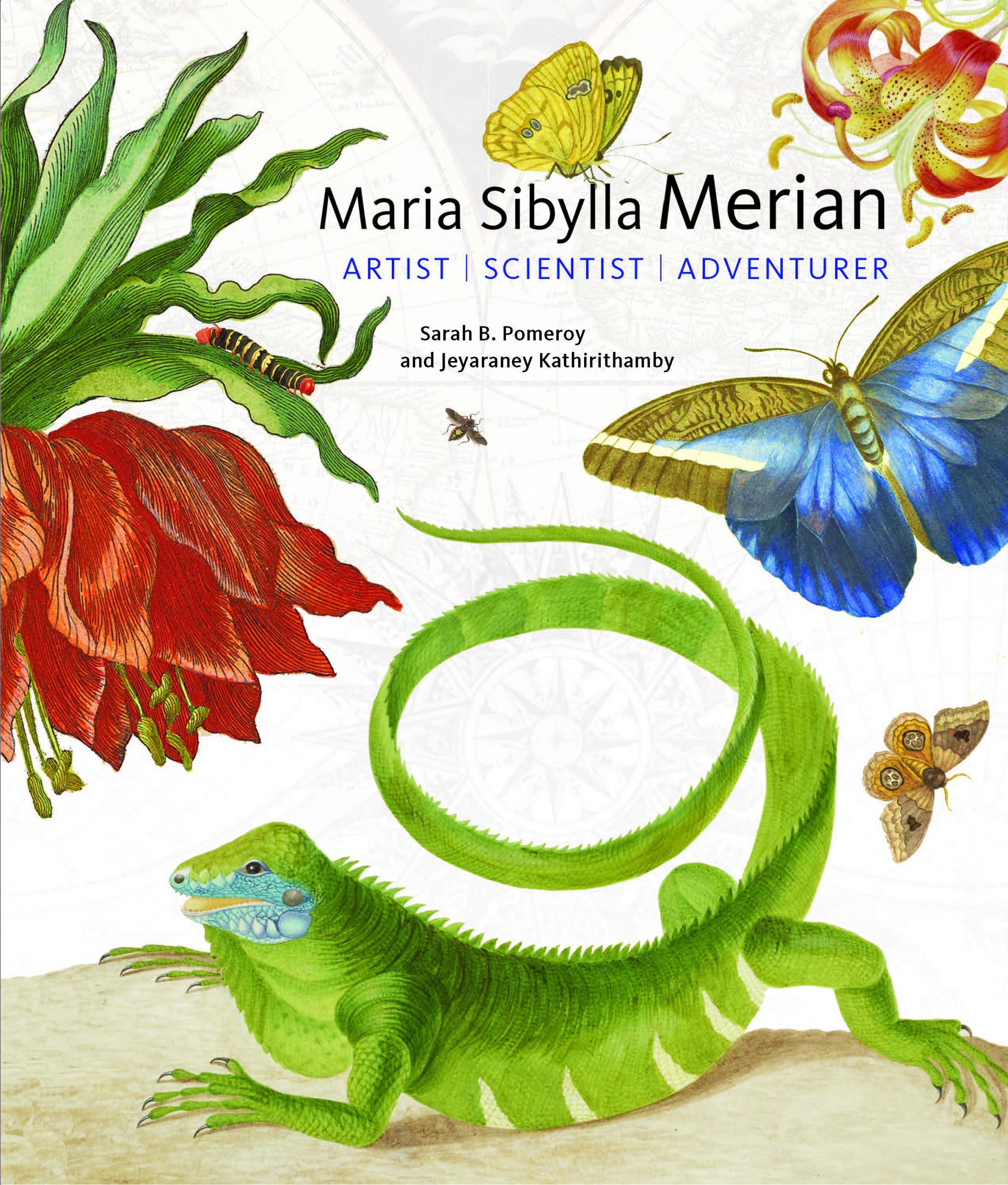 Maria Sibylla Merian, Artist, Scientist, Adventurer - St Hugh's College