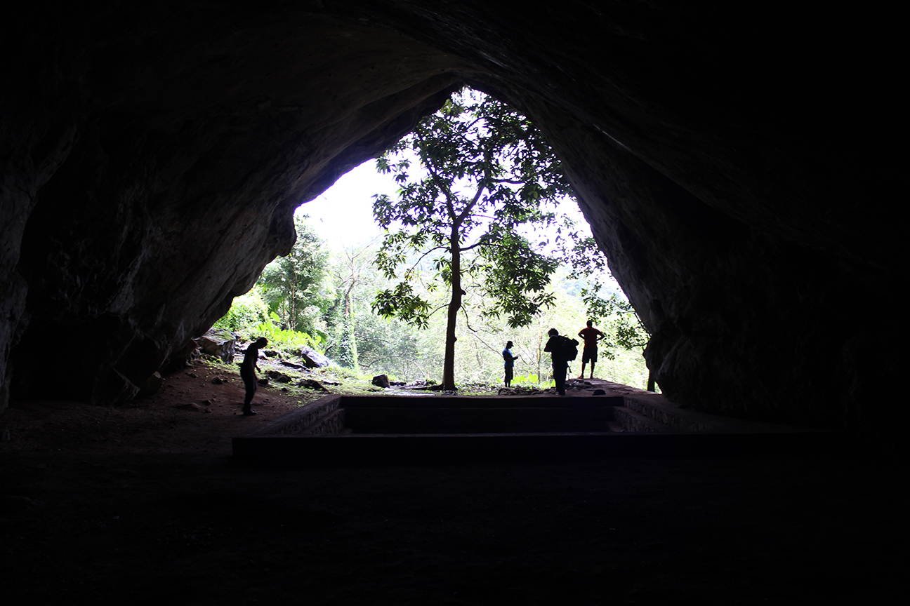 Early humans adapted to living in rainforests much sooner than thought ...